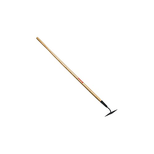 Corona Clipper SH61000 Diamond Hoe