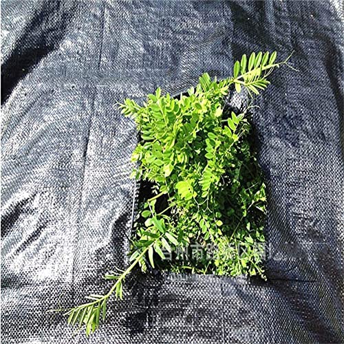 MYOYAY Garden Weed Barrier Landscape Fabric 6.5 x 328Ft Heavy-Duty Weed Barrier Fabric Garden Landscaping Fabric Roll Weed Cloth Ground Cover Woven for Yard, Flower Bed, Garden