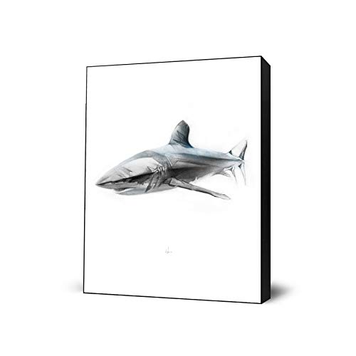 Shark 1