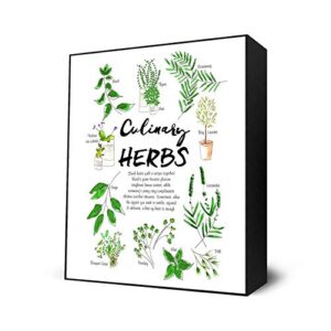 culinary herbs