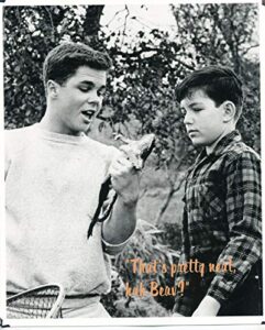 leave it to beaver tony dow jerry mathers original 1pg 8×10 clipping magazine photo #w1784