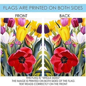 Toland Home Garden 109601 Tulip Spring Garden Flag, 28" x40", Double Sided for Outdoor Summer House Yard Decoration