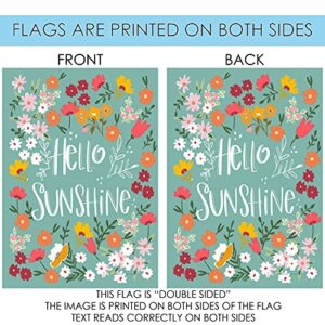 Toland Home Garden 1112560 Hello Sunshine Spring Flag 12x18 Inch Double Sided Spring Garden Flag for Outdoor House Flower Flag Yard Decoration