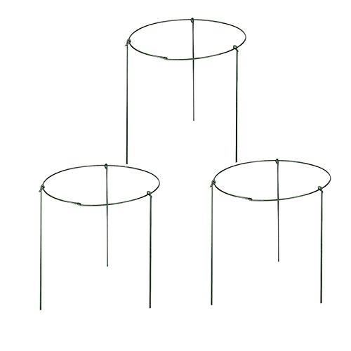 rescozy (Pack of 3) Large Garden Plant Support Rings, 10" Wide x 17" High, 3 Legs