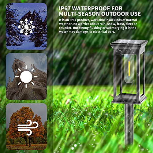 Amzxart Solar Pathway Lights Outdoor, 6 Pack Solar Lights Outdoor Waterproof IP65, Auto On/Off Pathway Lights Solar Powered Garden Lights for Walkway Yard Backyard Lawn Landscape Lighting Decorative