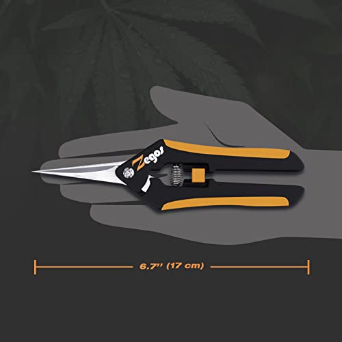 Zegos Bud Trimming Scissor 2 Packs Combo with Sorted Straight and Curved Blades, Precision Pruning Shears, Hand Pruning Snips, Garden Scissors for Herb and Bud Trimming, Bonsai Cutting