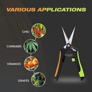 Zegos Bud Trimming Scissor 2 Packs Combo with Sorted Straight and Curved Blades, Precision Pruning Shears, Hand Pruning Snips, Garden Scissors for Herb and Bud Trimming, Bonsai Cutting