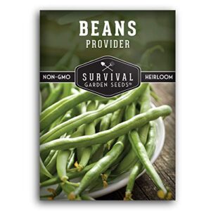 survival garden seeds – provider bush bean seed for planting – packet with instructions to plant and grow stringless green beans in your home vegetable garden – non-gmo heirloom variety