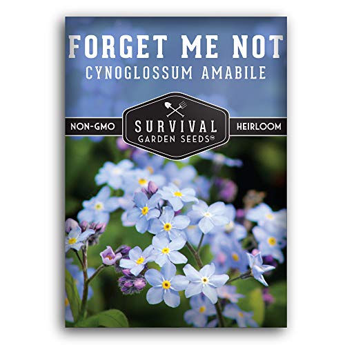 Survival Garden Seeds - Forget Me Not Seed for Planting - Packet with Instructions to Plant and Grow Tiny Blue Flowers in Your Home Vegetable or Flower Garden - Non-GMO Heirloom Variety