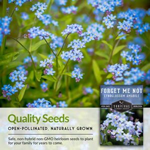 Survival Garden Seeds - Forget Me Not Seed for Planting - Packet with Instructions to Plant and Grow Tiny Blue Flowers in Your Home Vegetable or Flower Garden - Non-GMO Heirloom Variety