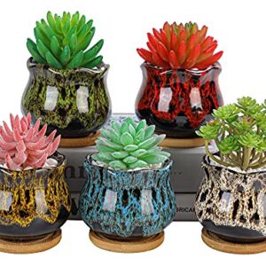 Cute Ceramic Succulent Garden Pots, Planter with Drainage and Attached Saucer, Set of 5 - Plants Not Included (Fambe)