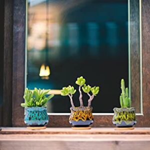 Cute Ceramic Succulent Garden Pots, Planter with Drainage and Attached Saucer, Set of 5 - Plants Not Included (Fambe)