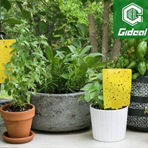 Gideal 20-Pack Dual-Sided Yellow Sticky Traps for Flying Plant Insect Such as Fungus Gnats, Whiteflies, Aphids, Leafminers,Thrips - (6x8 Inches, Included 20pcs Twist Ties)