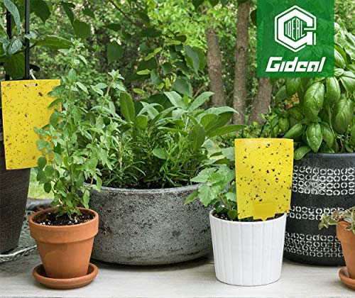 Gideal 20-Pack Dual-Sided Yellow Sticky Traps for Flying Plant Insect Such as Fungus Gnats, Whiteflies, Aphids, Leafminers,Thrips - (6x8 Inches, Included 20pcs Twist Ties)