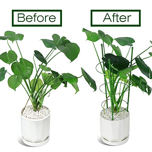 LEOBRO 2 Pack Plant Support Tomato Cage, Rust Resistant Tomato Cages for Garden, Small Cucumber Trellis Plant Support Plant Cages Plant Stake for Tomato, Climbing Plant, Flower, Seedlings, 17.7" H