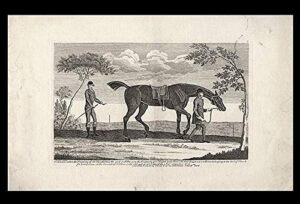 (othello when the property of mr. routh) now black & all black the property of sr. ralph gore bart. he beat bajezet a horse belonging to the earl of march for 1000 guineas on the curragh of keldare in the kingdom of ireland the 5th. of september 1751