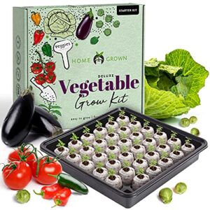 vegetable garden starter kit – 250+ vegetable seeds with germination seed starter tray, soil, markers, & grow guide – vegetable indoor garden kit – indoor seedling seed starter kits