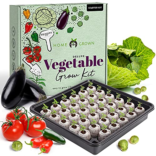 Vegetable Garden Starter Kit – 250+ Vegetable Seeds with Germination Seed Starter Tray, Soil, Markers, & Grow Guide - Vegetable Indoor Garden Kit - Indoor Seedling Seed Starter Kits