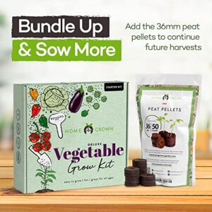 Vegetable Garden Starter Kit – 250+ Vegetable Seeds with Germination Seed Starter Tray, Soil, Markers, & Grow Guide - Vegetable Indoor Garden Kit - Indoor Seedling Seed Starter Kits