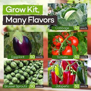 Vegetable Garden Starter Kit – 250+ Vegetable Seeds with Germination Seed Starter Tray, Soil, Markers, & Grow Guide - Vegetable Indoor Garden Kit - Indoor Seedling Seed Starter Kits