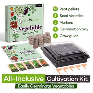 Vegetable Garden Starter Kit – 250+ Vegetable Seeds with Germination Seed Starter Tray, Soil, Markers, & Grow Guide - Vegetable Indoor Garden Kit - Indoor Seedling Seed Starter Kits