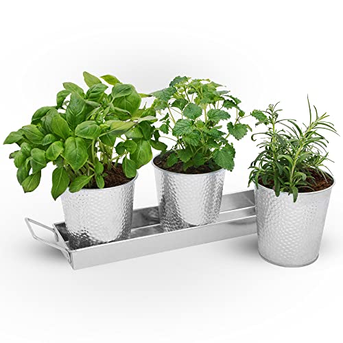 Saratoga Home Small Plant Pots with Drainage Holes Use as Herb Garden Planters, Shallow Planter, Succulent or Flower Pots, Outdoor Indoor Planter Pots with Drainage & Tray, 3 Set of 4 inch Pots