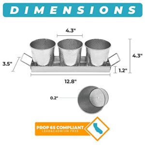 Saratoga Home Small Plant Pots with Drainage Holes Use as Herb Garden Planters, Shallow Planter, Succulent or Flower Pots, Outdoor Indoor Planter Pots with Drainage & Tray, 3 Set of 4 inch Pots