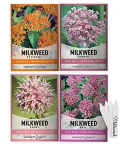 milkweed seeds for monarch butterflies (4 variety pack) common, showy, butterfly and rose varieties attracts butterflies, bees and pollinators heirloom flower seeds wildflower seed by gardeners basics