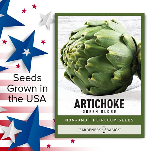 Artichoke Seeds for Planting - Green Globe Non-GMO Perennial Vegetable Variety- 3 Grams Seeds Great for Summer Gardens by Gardeners Basics