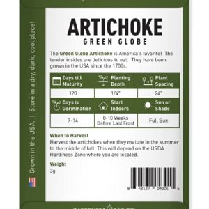 Artichoke Seeds for Planting - Green Globe Non-GMO Perennial Vegetable Variety- 3 Grams Seeds Great for Summer Gardens by Gardeners Basics