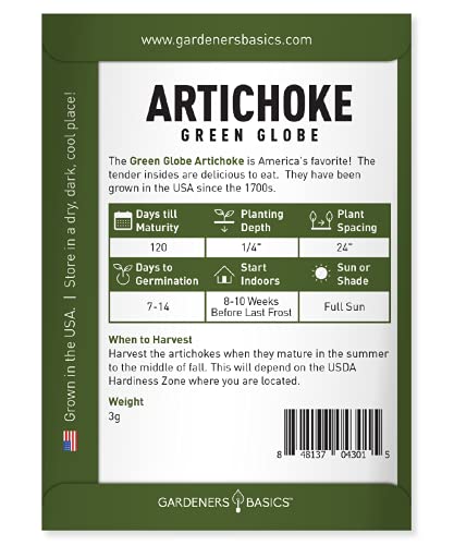 Artichoke Seeds for Planting - Green Globe Non-GMO Perennial Vegetable Variety- 3 Grams Seeds Great for Summer Gardens by Gardeners Basics