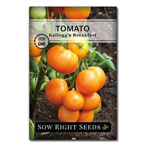 Sow Right Seeds - Beefsteak Style Tomato Seed Collection for Planting - Beefsteak, Kellogg's Breakfast, Cherokee Purple, & Ponderosa Pink - Non-GMO Heirloom Varieties to Plant a Home Vegetable Garden