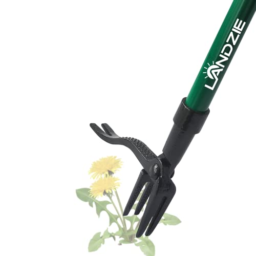 Landzie Weeder - 44 Inch Long Steel Stand Up Manual Weed Remover Tool for Lawn and Garden - Easily Weed Grass Without Bending or Kneeling - 4 Serrated Heavy Duty Claws with Lever for Easy Removal