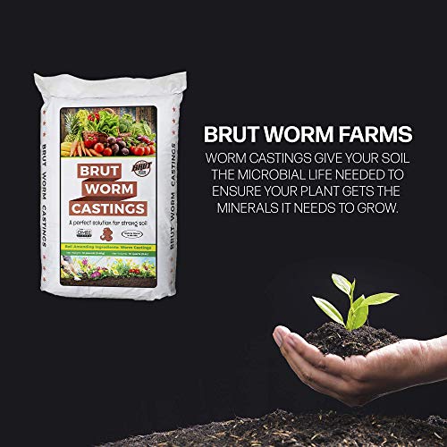 BRUT WORM FARMS Worm Castings Soil Builder - 12 Pounds - Organic Fertilizer - Natural Enricher for Healthy Houseplants, Flowers, and Vegetables - Use Indoors or Outdoors - Non-Toxic and Odor Free