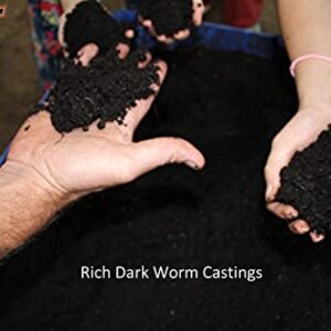 BRUT WORM FARMS Worm Castings Soil Builder - 12 Pounds - Organic Fertilizer - Natural Enricher for Healthy Houseplants, Flowers, and Vegetables - Use Indoors or Outdoors - Non-Toxic and Odor Free