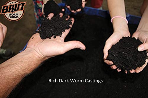 BRUT WORM FARMS Worm Castings Soil Builder - 12 Pounds - Organic Fertilizer - Natural Enricher for Healthy Houseplants, Flowers, and Vegetables - Use Indoors or Outdoors - Non-Toxic and Odor Free