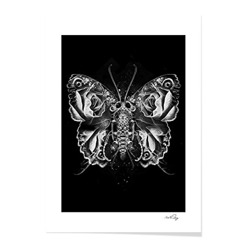 FANTASMAGORIK¨ INSECTS 3