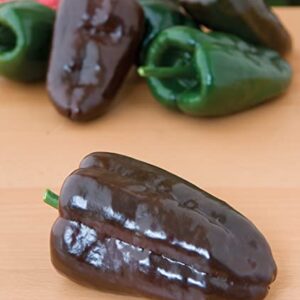 Burpee Poblano' (Ancho) 4" Heart-Shaped Dark Green to Red Peppers, 100 Seeds