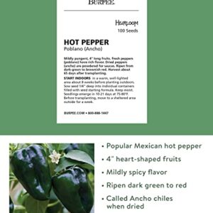 Burpee Poblano' (Ancho) 4" Heart-Shaped Dark Green to Red Peppers, 100 Seeds