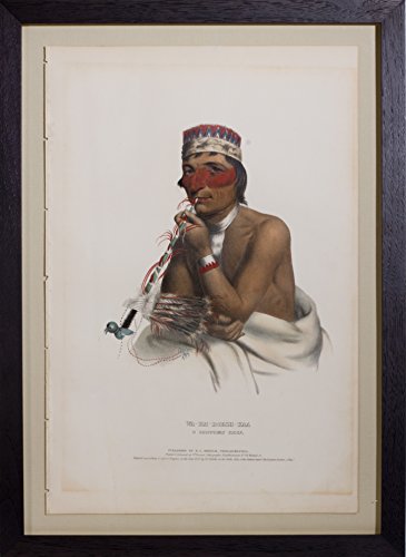 Wa-Em-Boesh-Kaa, A Chippeway Chief