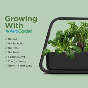 AeroGarden Sprout with Gourmet Herbs Seed Pod Kit - Hydroponic Indoor Garden, White