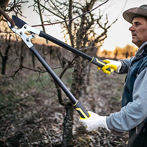 Jardineer 2" Anvil Loppers Shears - Loppers Heavy Duty with Garden Shears & Spare Blade, Effortless Pruning Tree Loppers, 30" Branch Cutter and Long-Lever Tree Trimmer