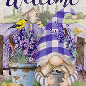 Furiaz Welcome Spring Gnome Lavender Small Decorative Garden Flag, Goldfinch Bird Yard Flower Purple Buffalo Plaid Check Home Outside Decoration, Summer Farmhouse Outdoor Decor Double Sided 12x18