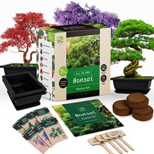 realpetaled bonsai starter kit – japanese bonsai tree kit with bonsai tools, 7 bonsai tree seeds, pots – complete grow your own bonsai tree live kit – plant lover gifts home gifts for men and women