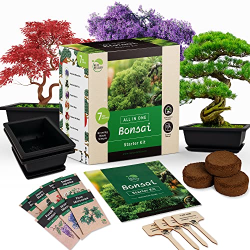 REALPETALED Bonsai Starter Kit – Japanese Bonsai Tree Kit with Bonsai Tools, 7 Bonsai Tree Seeds, Pots – Complete Grow Your Own Bonsai Tree Live Kit – Plant Lover Gifts Home Gifts for Men and Women