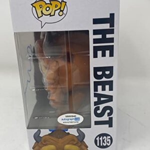 Dan Stevens Signed Autographed Funko Pop The Beast Beauty and The Beast ACOA COA