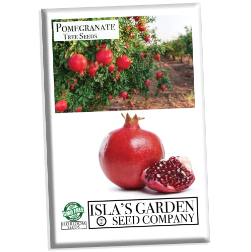 Pomegranate Tree Seeds for Planting, 30+ Fruit Tree Seeds, Tall & Beautiful Tree, (Isla's Garden Seeds), 85% Germination Rates, Great Home Garden Gift