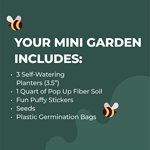 Window Garden Sow Much Fun Seed Starting, Flower Planting and Growing Kit for Kids, 3 Self Watering Planters, Soil, Indoor Outdoor Usage,Seeds and Puffy Stickers. (Marigold)