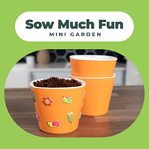 Window Garden Sow Much Fun Seed Starting, Flower Planting and Growing Kit for Kids, 3 Self Watering Planters, Soil, Indoor Outdoor Usage,Seeds and Puffy Stickers. (Marigold)