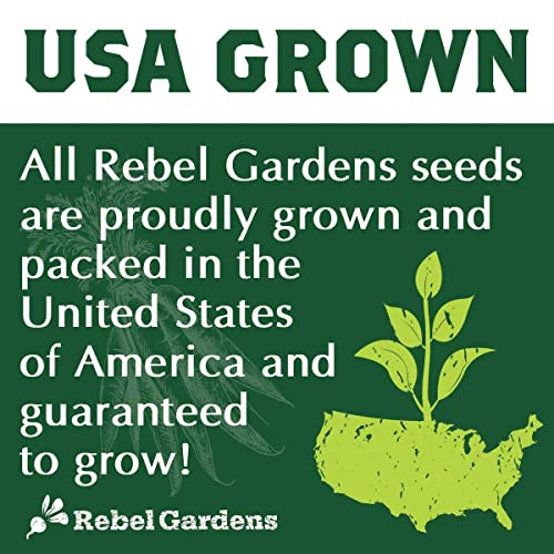 Organic Vegetable Seeds for Planting - 13 Varieties of Non GMO, Non Hybrid, Heirloom Seeds, Open Pollinated Home Garden Seeds - Tomatoes, Kale, Carrots, Broccoli, Arugula, and More